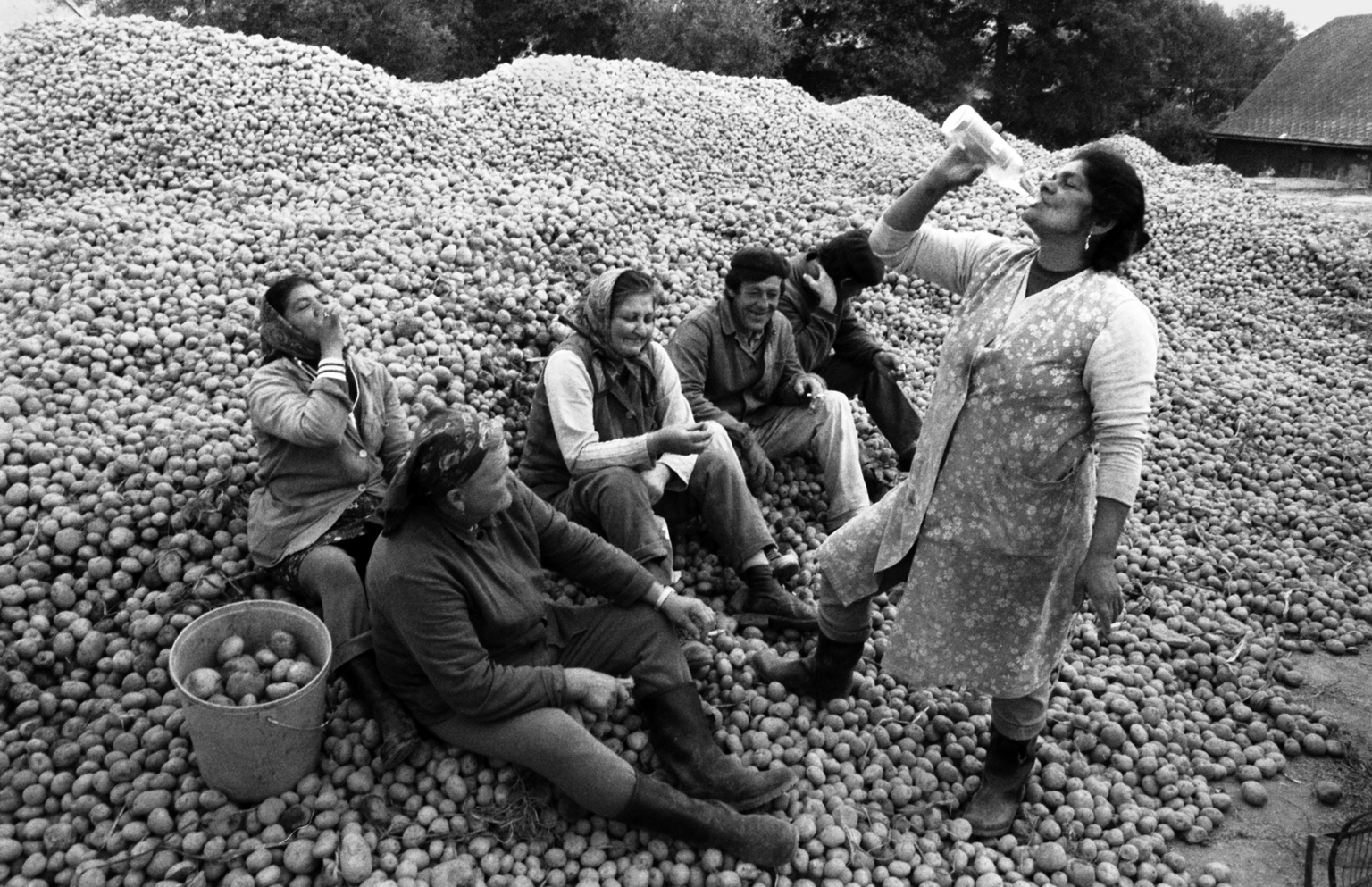Ayn Rand’s Anthem and the Politics of Compulsory Work – Objectivist Network